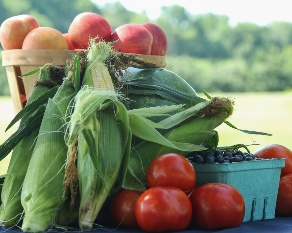 Council on Farm and Food Policy to advise Secretary of Agriculture - DBT