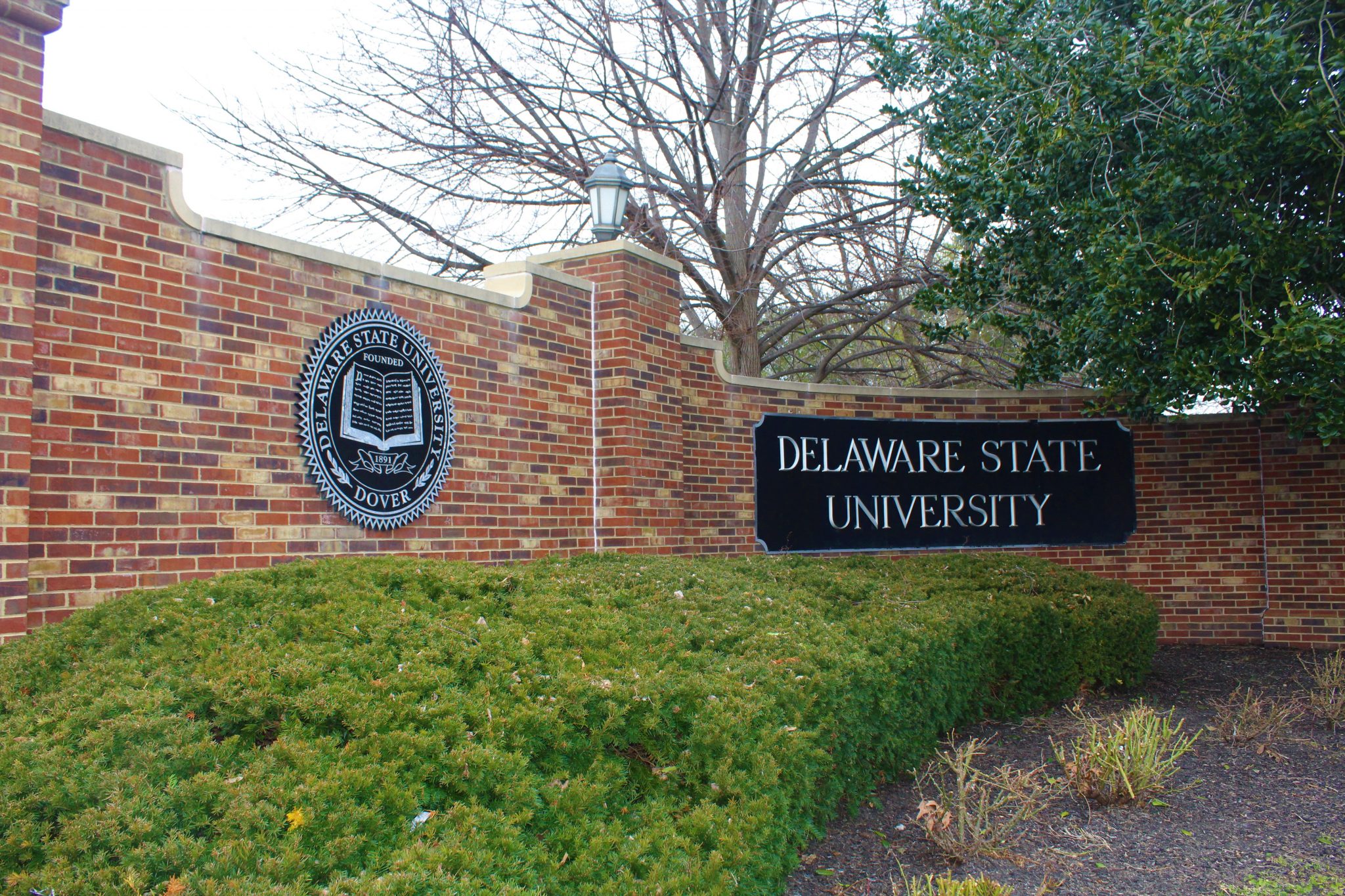 DSU nursing program to expand with Longwood grant