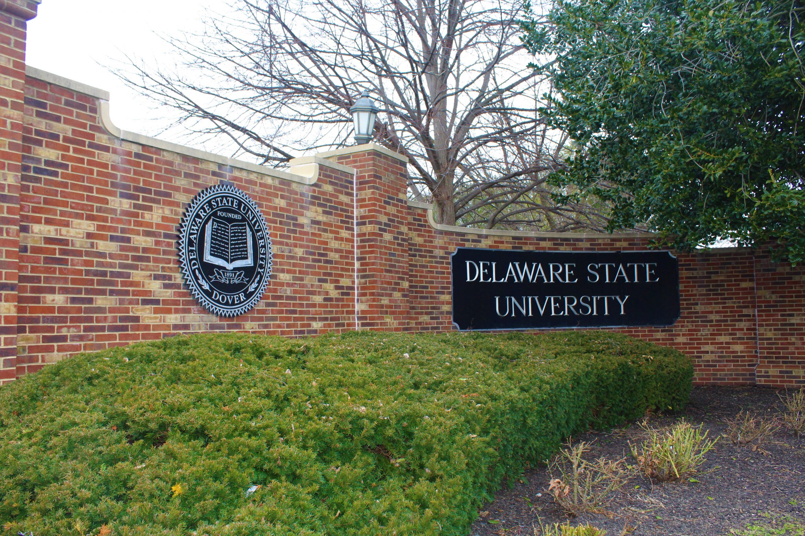 DSU nursing program to expand with Longwood grant