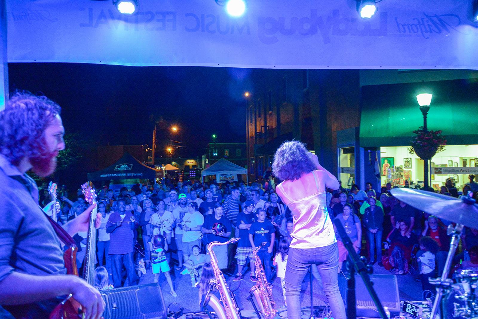 Milford's Ladybug Music Festival expands to Maryland