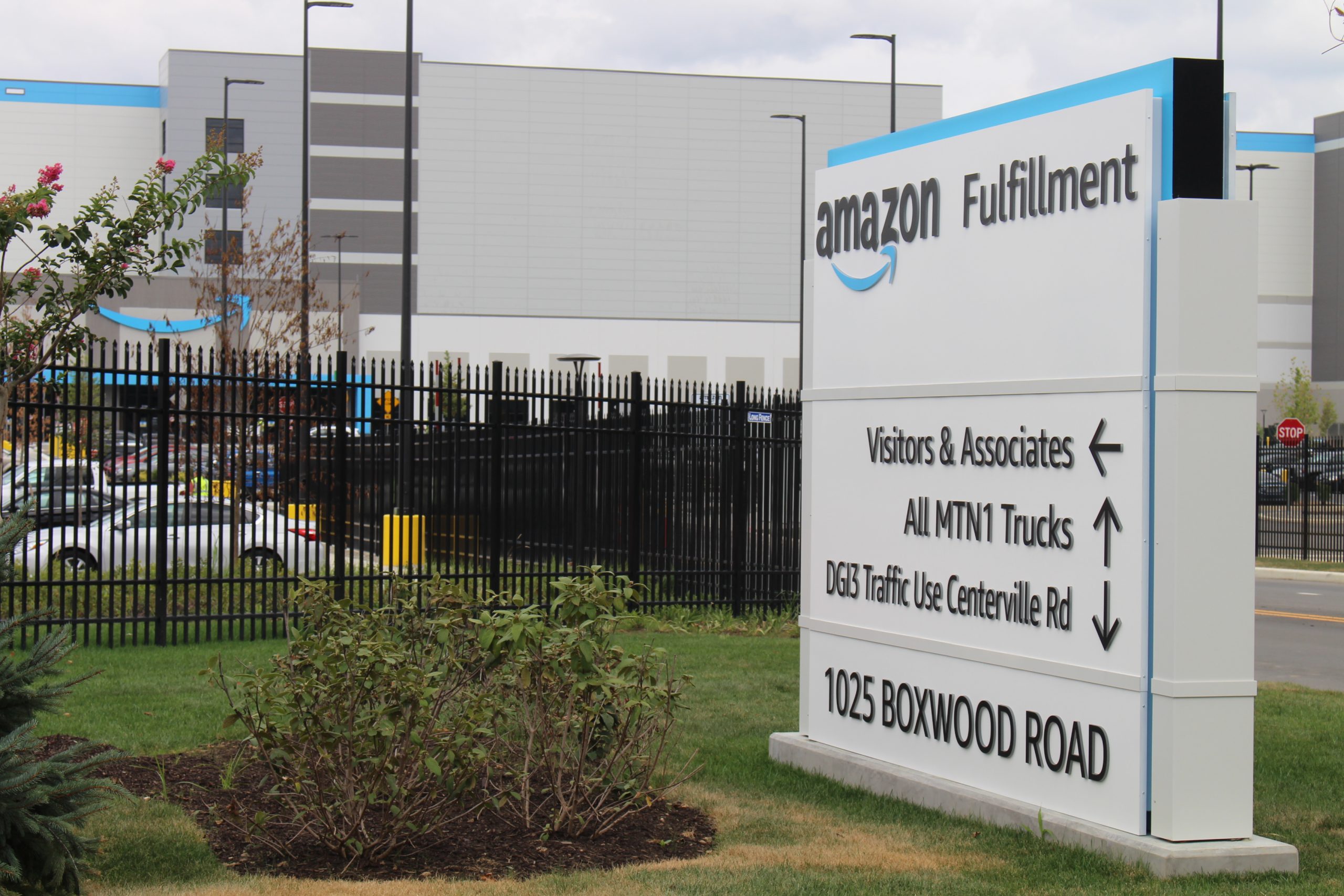 Amazon Boxwood plant nears opening