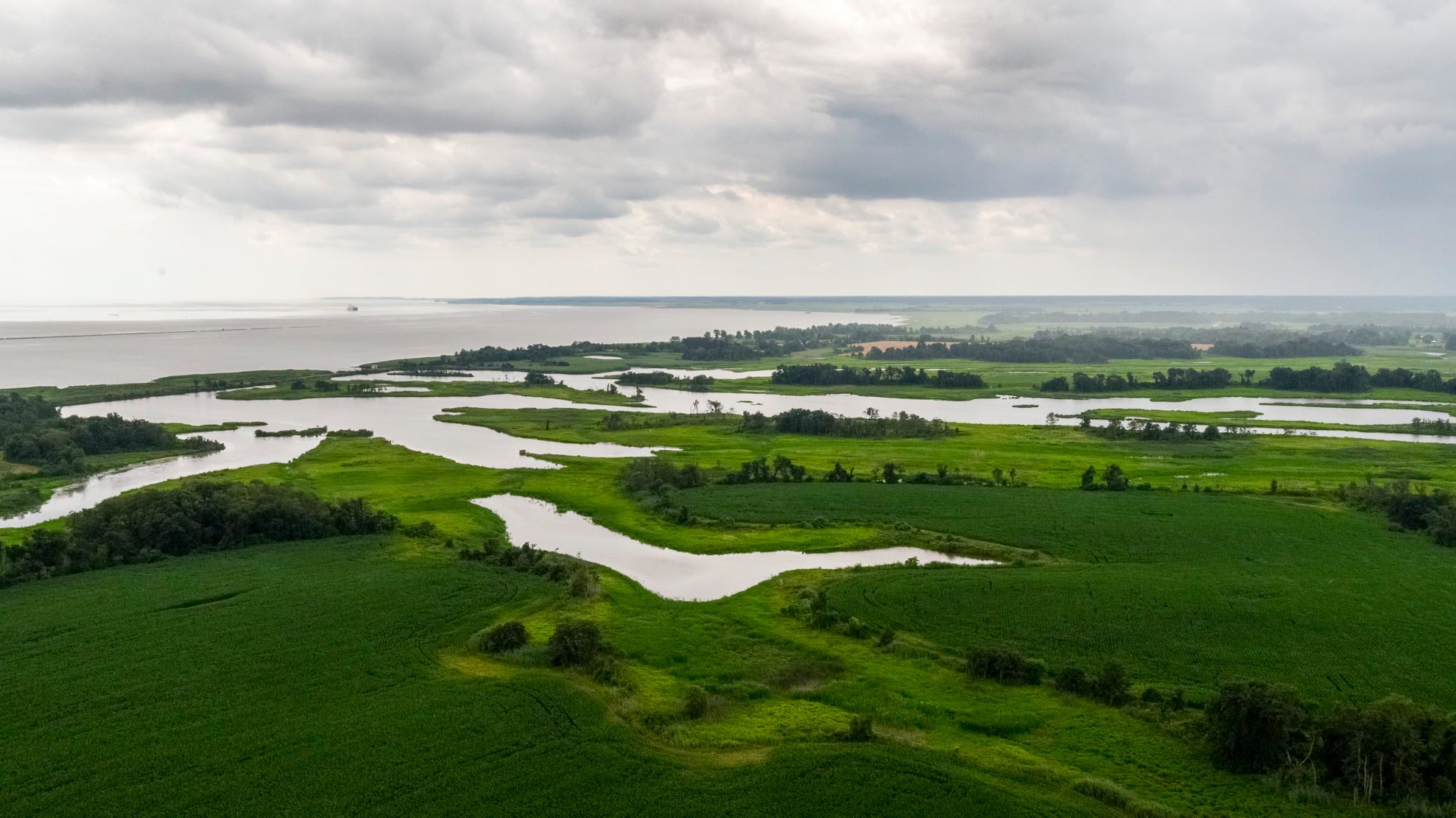 New Castle County and Delaware Wildlands formalize conservation of ...