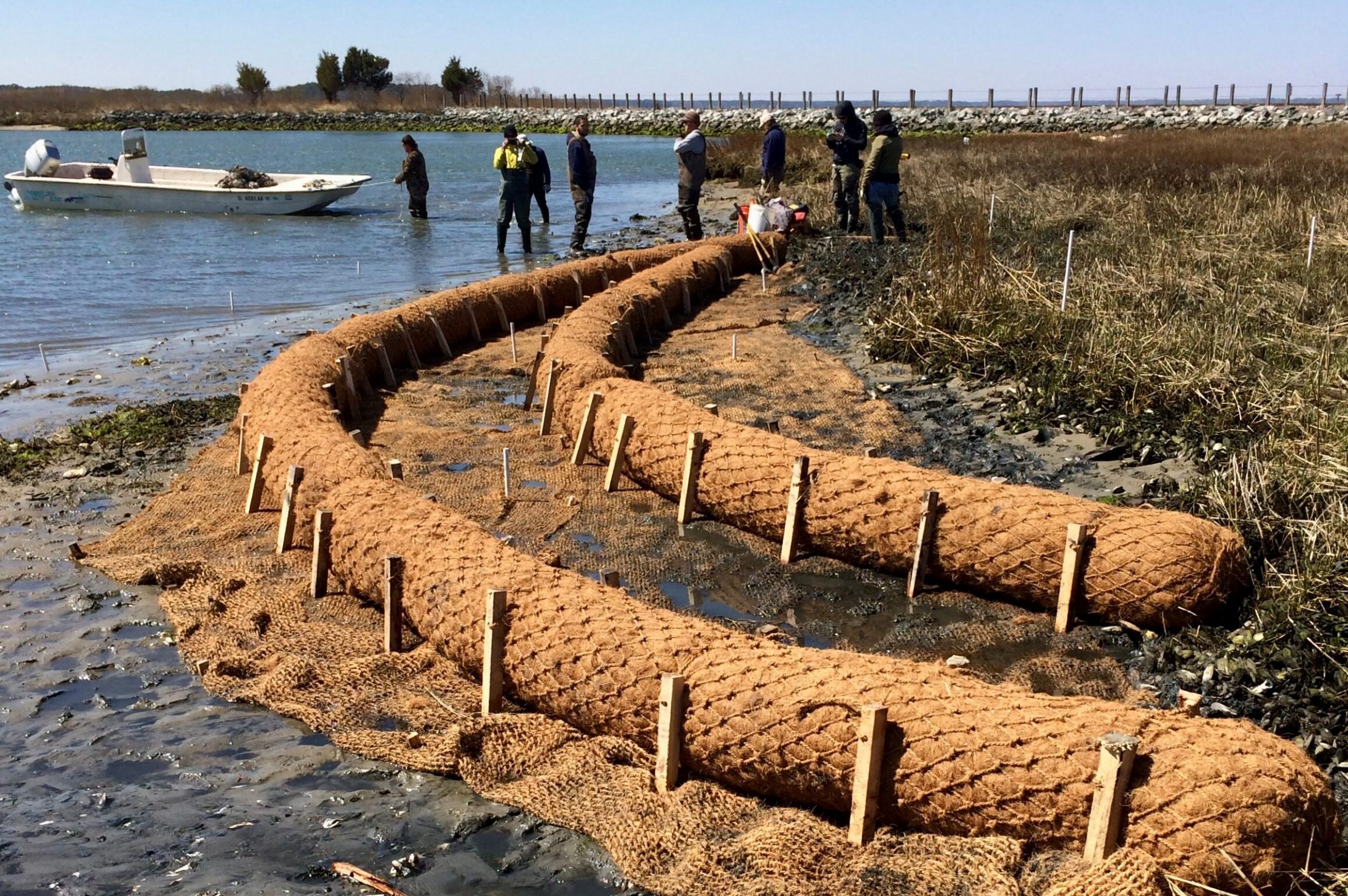 DNREC to offer lecture for shoreline homeowners