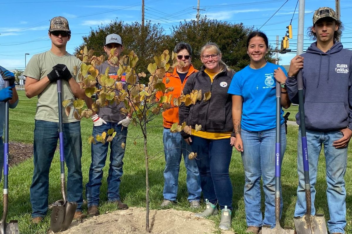 Delaware Forest Service offers $910K in grants for tree projects