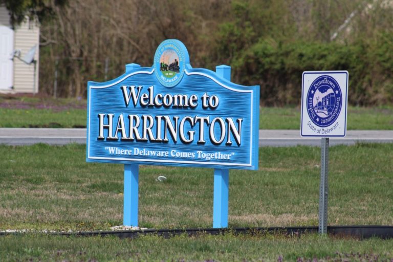 Harrington taps Spiegelman as park realtor